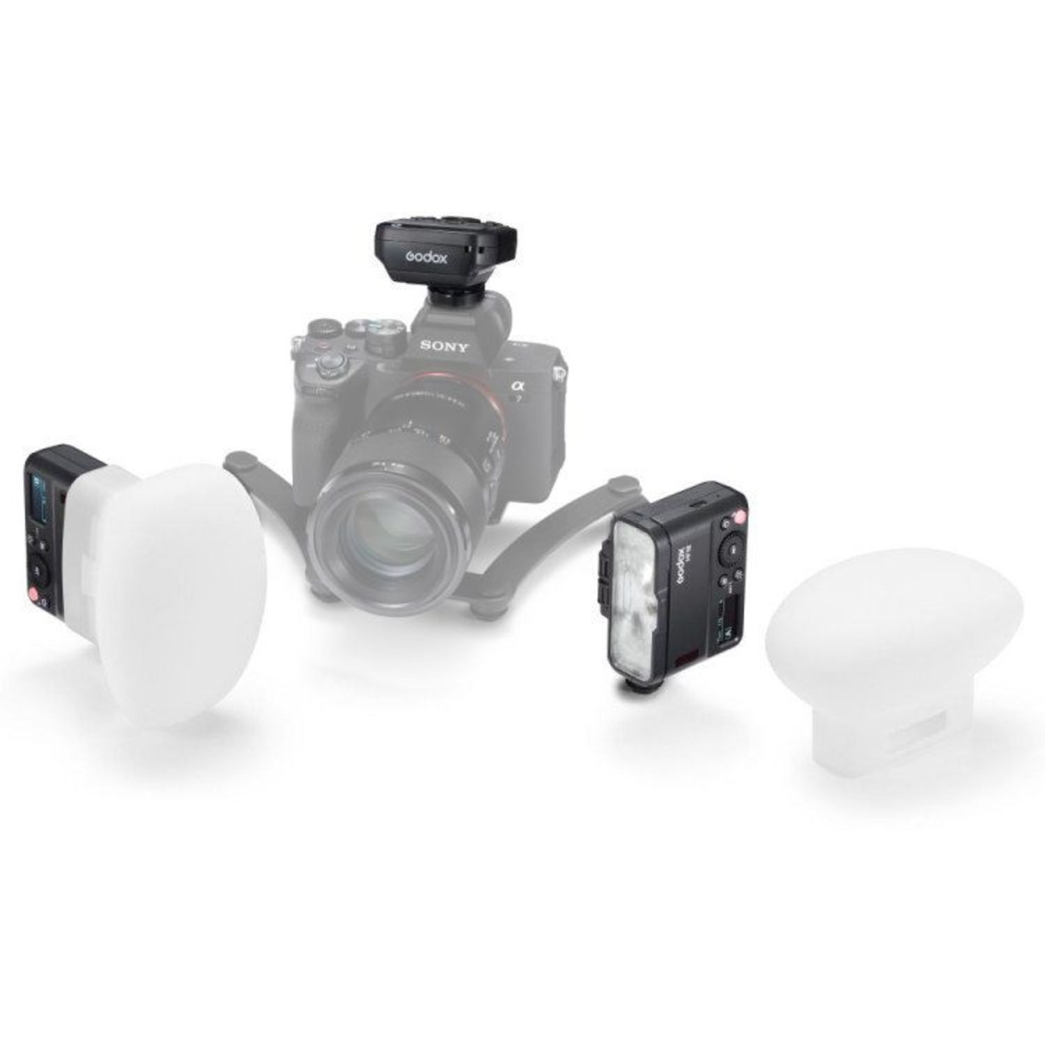 Godox MF12-DK1 Dental Makro Blitz Set für Sony online bestellen ...